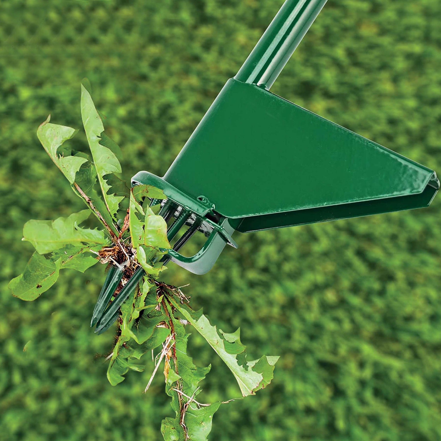 Steel Weed Puller Root Remover | Dennyshop UK
